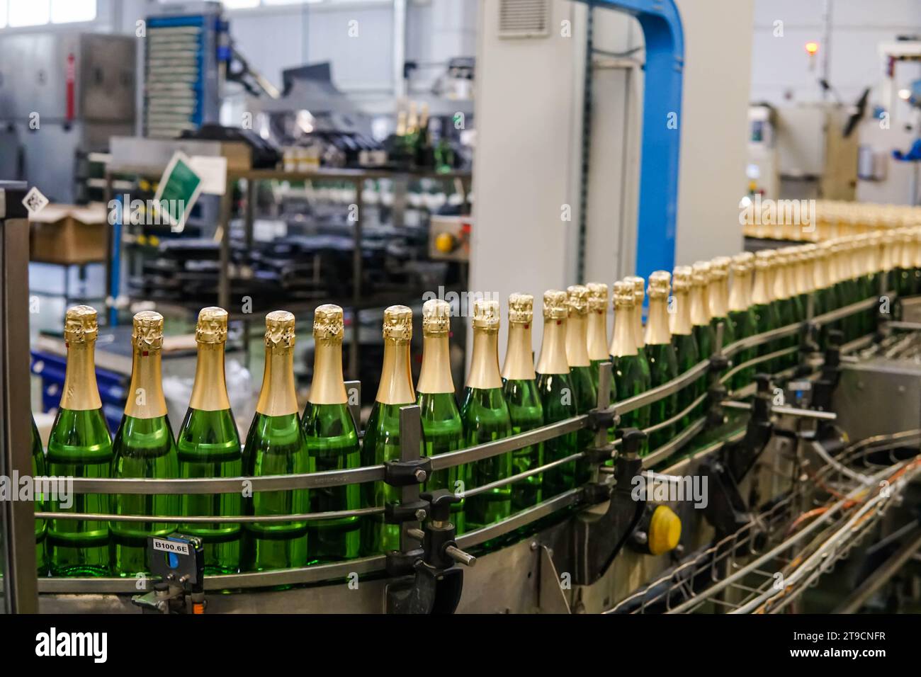 Green bottles with champagne wine are moving along the conveyor at the ...