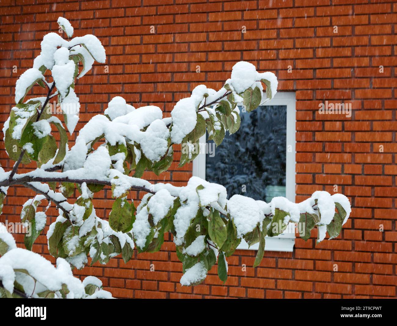 Winter scene on brick wall hi-res stock photography and images - Alamy