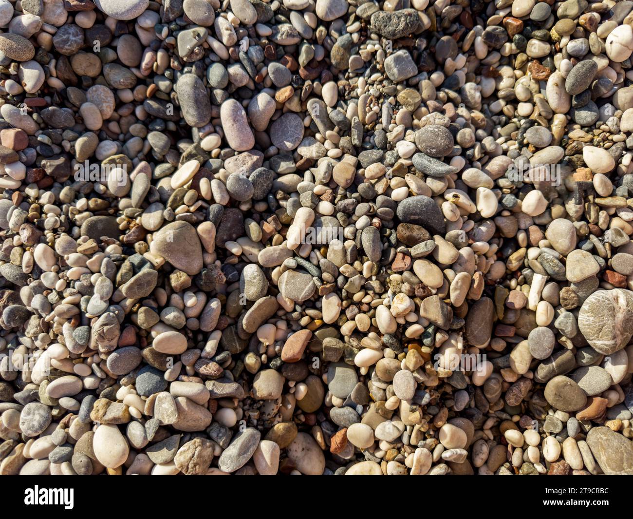 Little pebble stones texture, background Stock Photo - Alamy