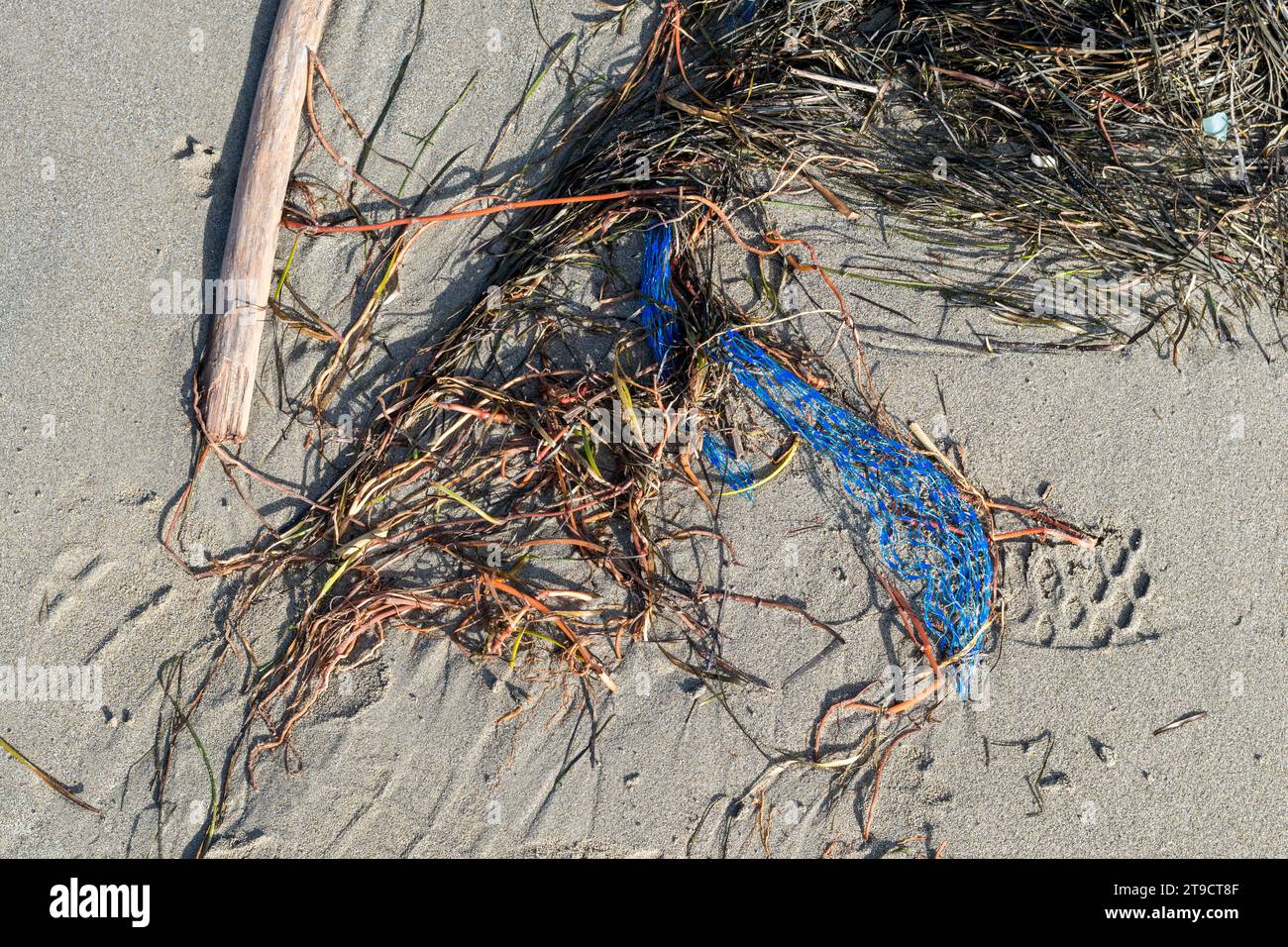 Beach in northern Italy after a violent storm. Plastic and cans ...