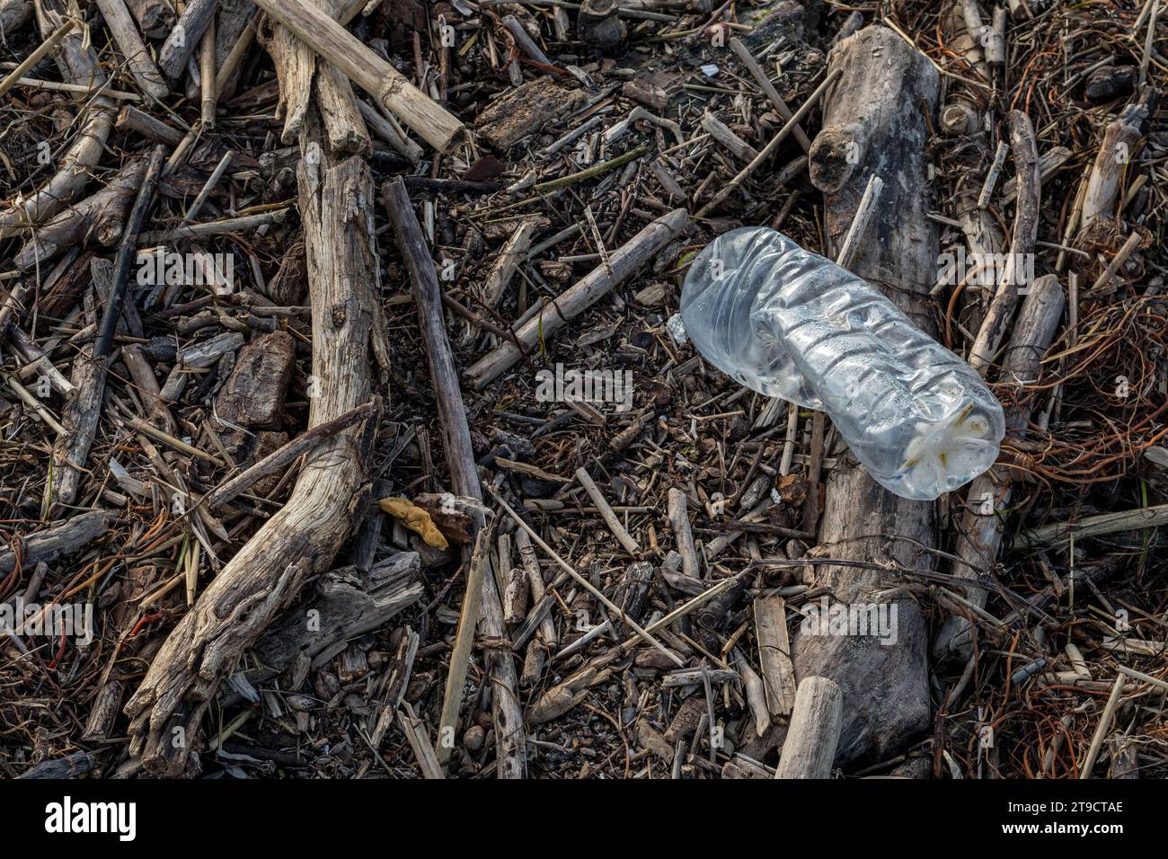 Beach in northern Italy after a violent storm. Plastic and cans ...