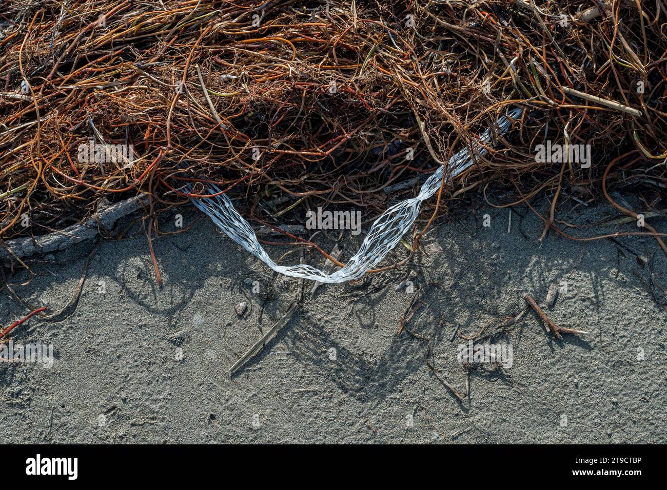 Beach in northern Italy after a violent storm. Plastic and cans ...