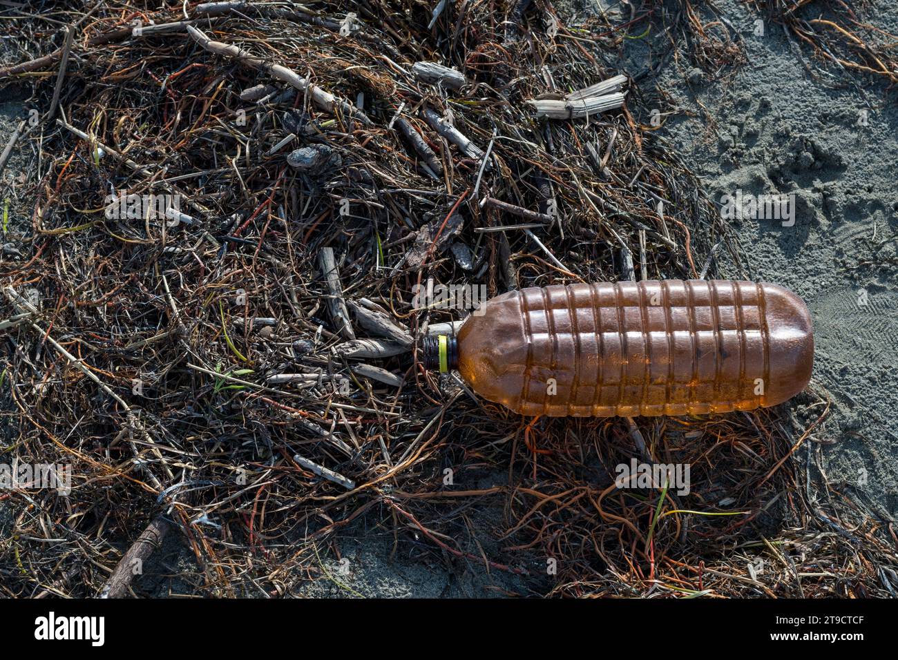 Beach in northern Italy after a violent storm. Plastic and cans ...