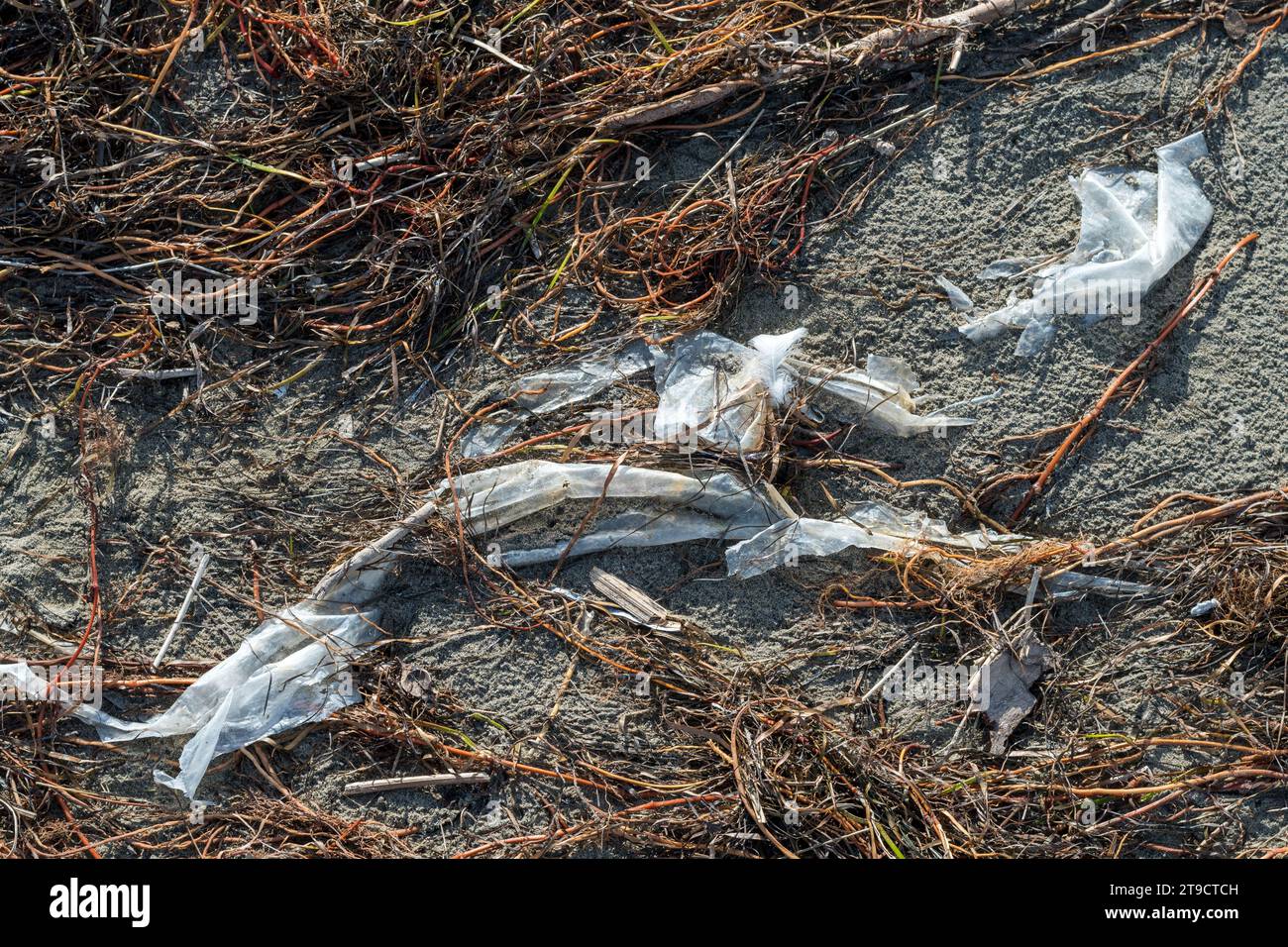 Beach in northern Italy after a violent storm. Plastic and cans ...