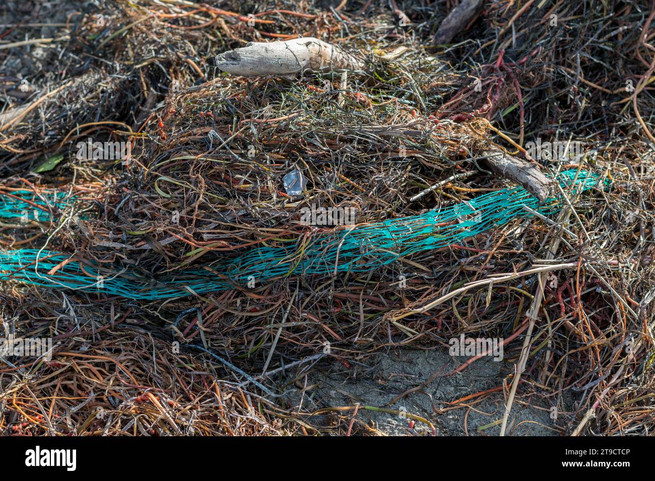 Beach in northern Italy after a violent storm. Plastic and cans ...