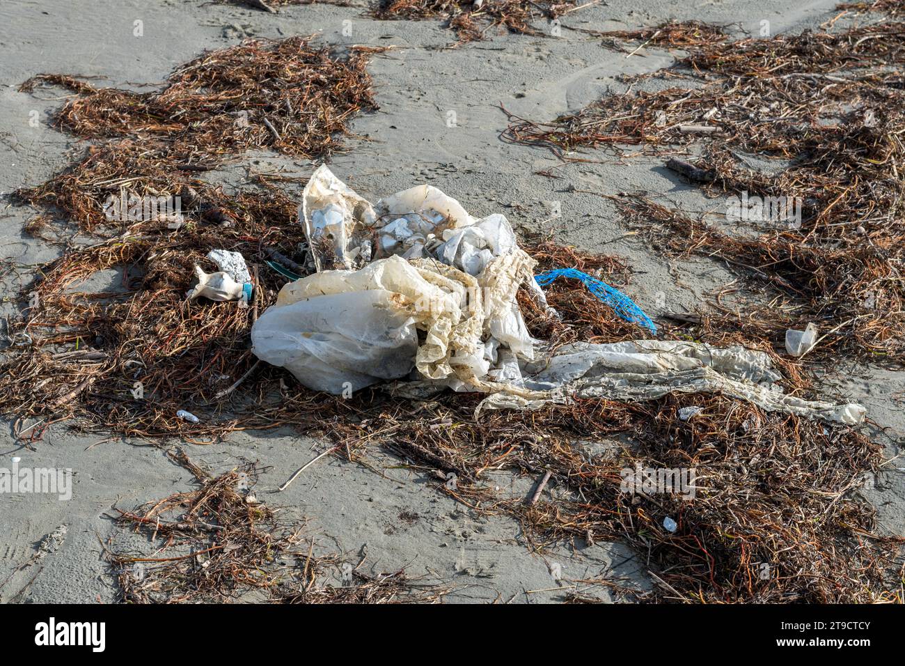 Beach in northern Italy after a violent storm. Plastic and cans ...