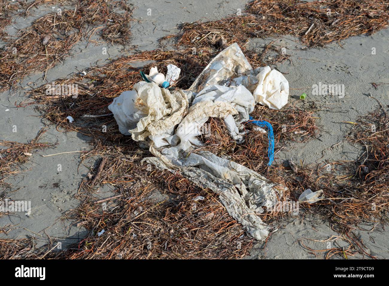 Beach in northern Italy after a violent storm. Plastic and cans ...