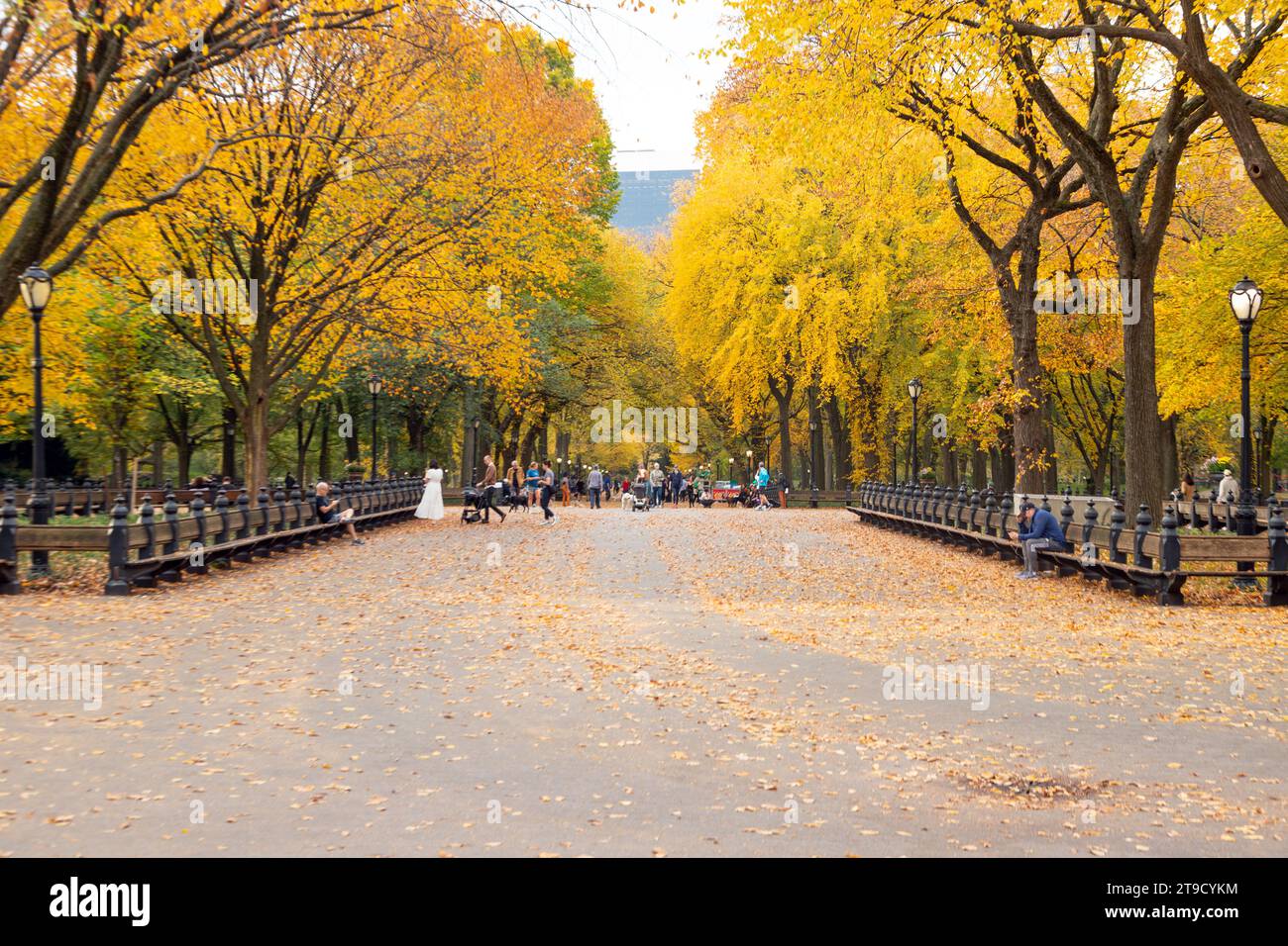 The Mall in fall or autumn, Central Park, New York City, U.S.A Stock ...