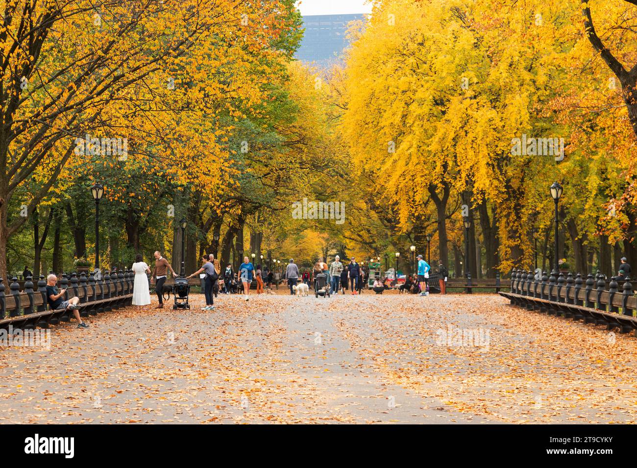 The Mall in fall or autumn, Central Park, New York City, U.S.A Stock ...