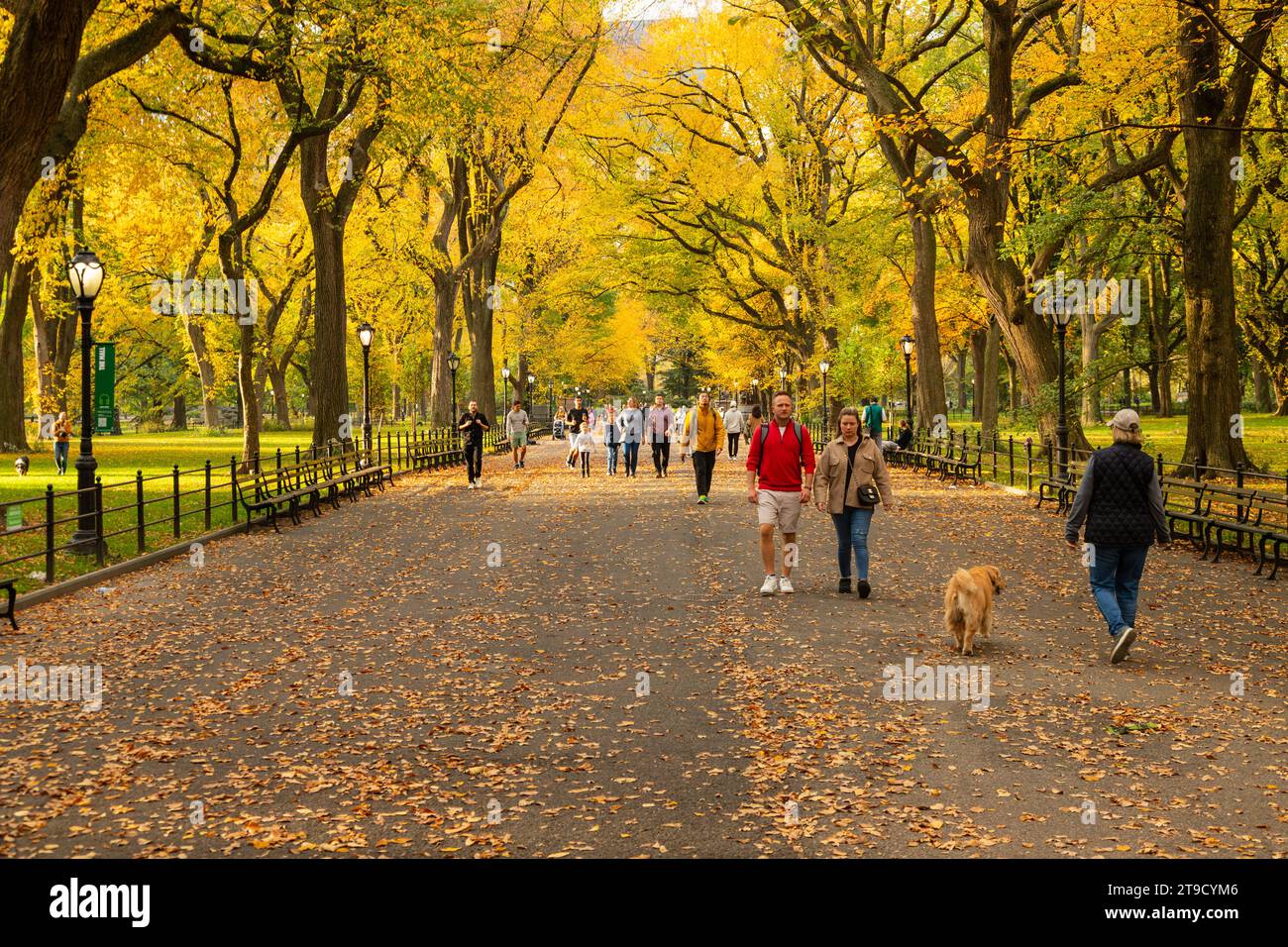 The Mall in fall or autumn, Central Park, New York City, U.S.A Stock ...