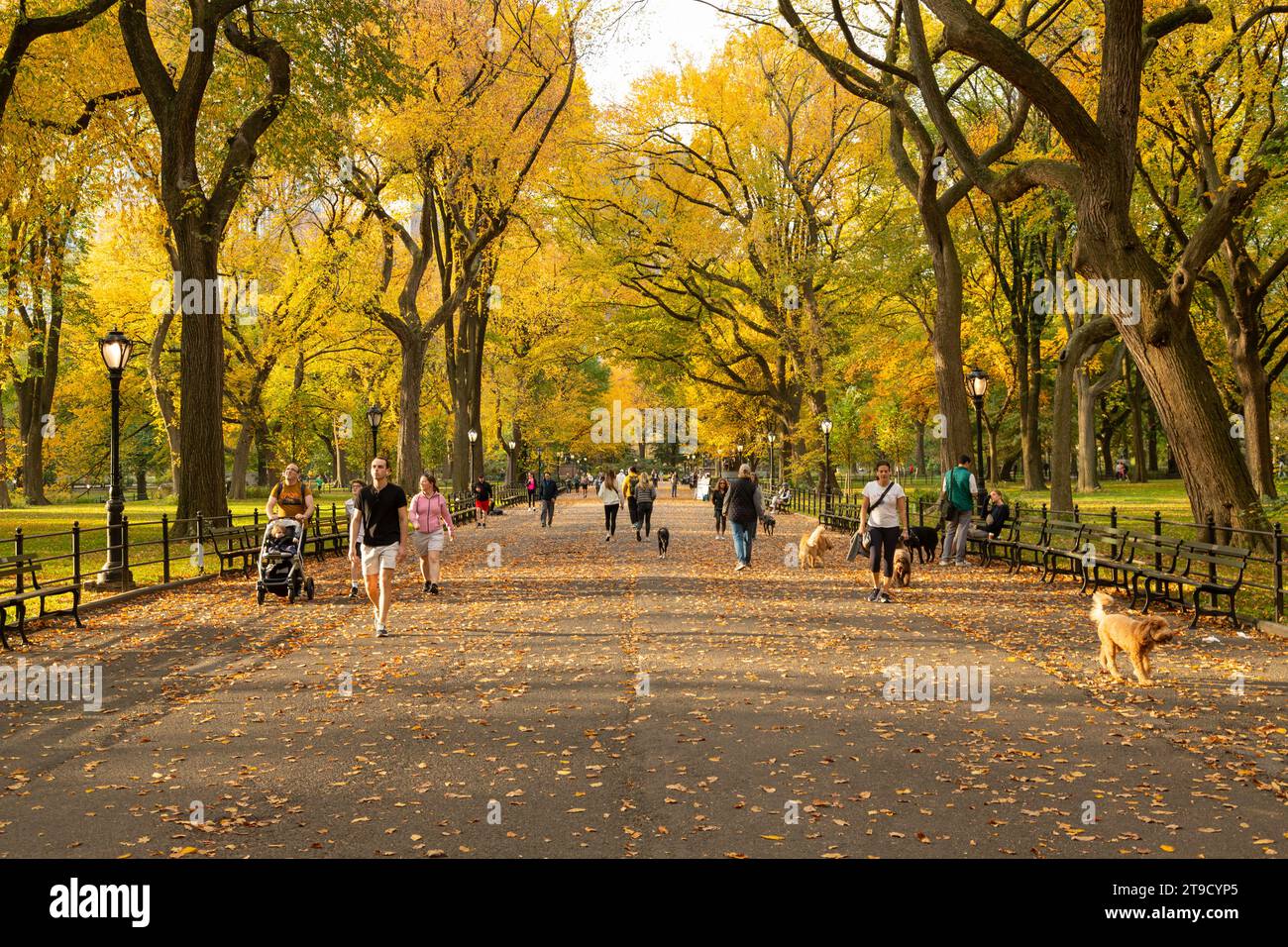 The Mall in fall or autumn, Central Park, New York City, U.S.A Stock ...