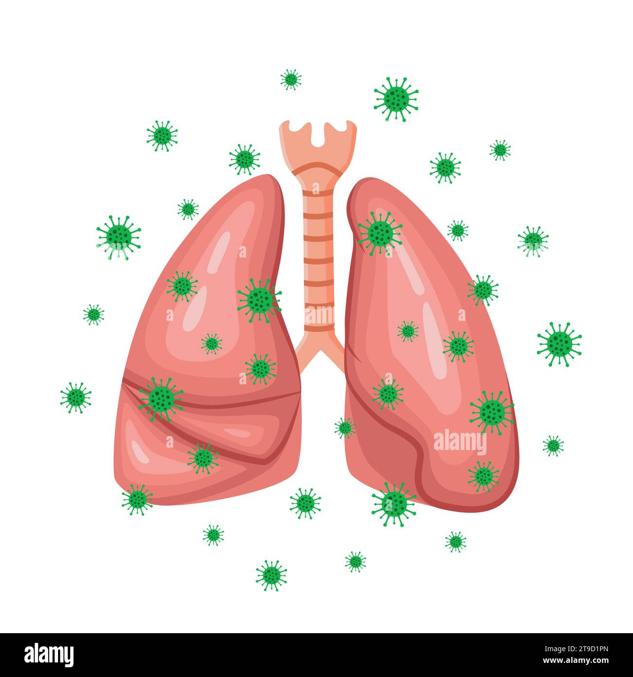 Vector drawing of lungs with viruses Stock Vector Image & Art - Alamy