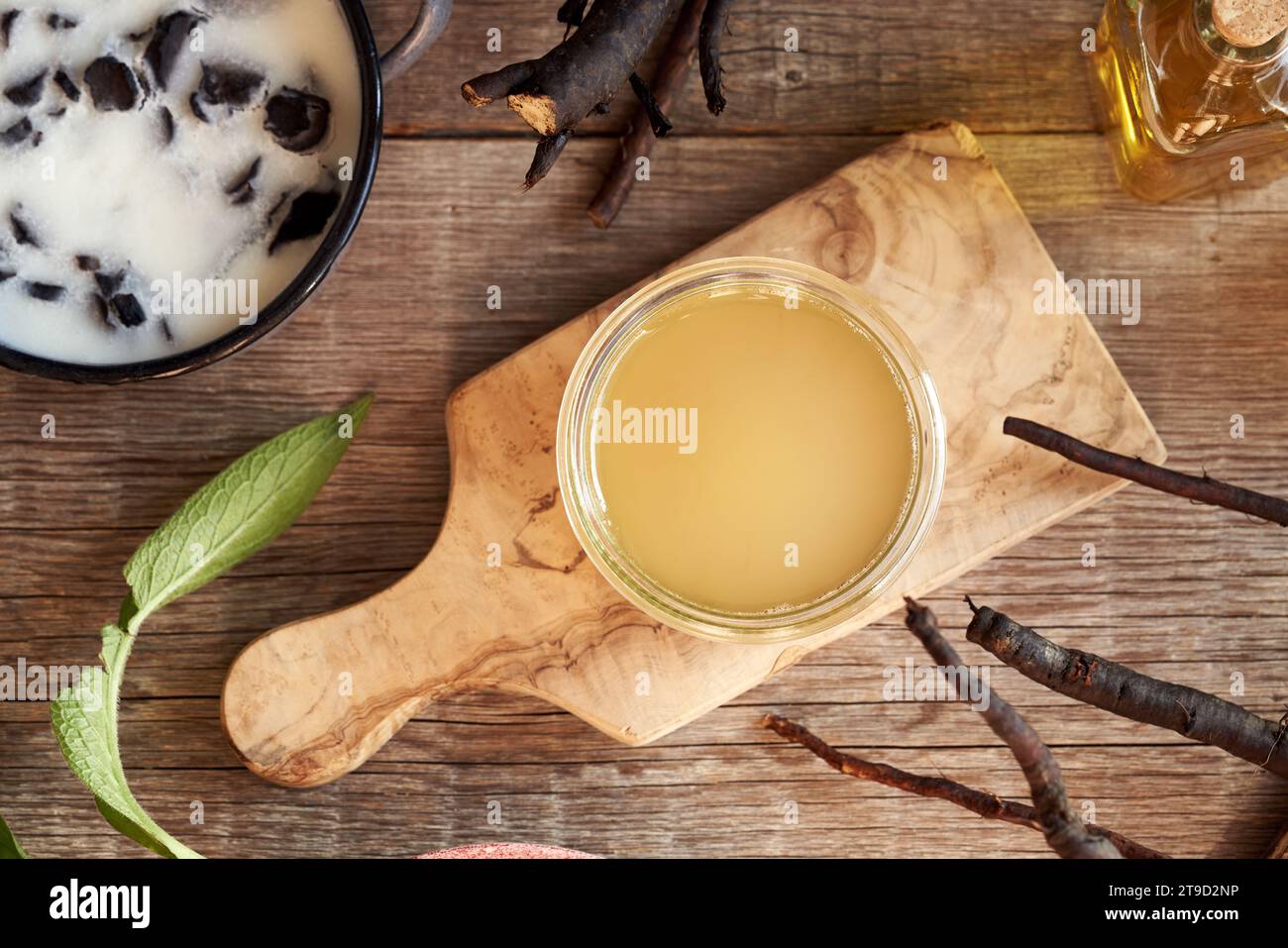 Preparation of comfrey ointment from fresh knitbone root and rendered ...