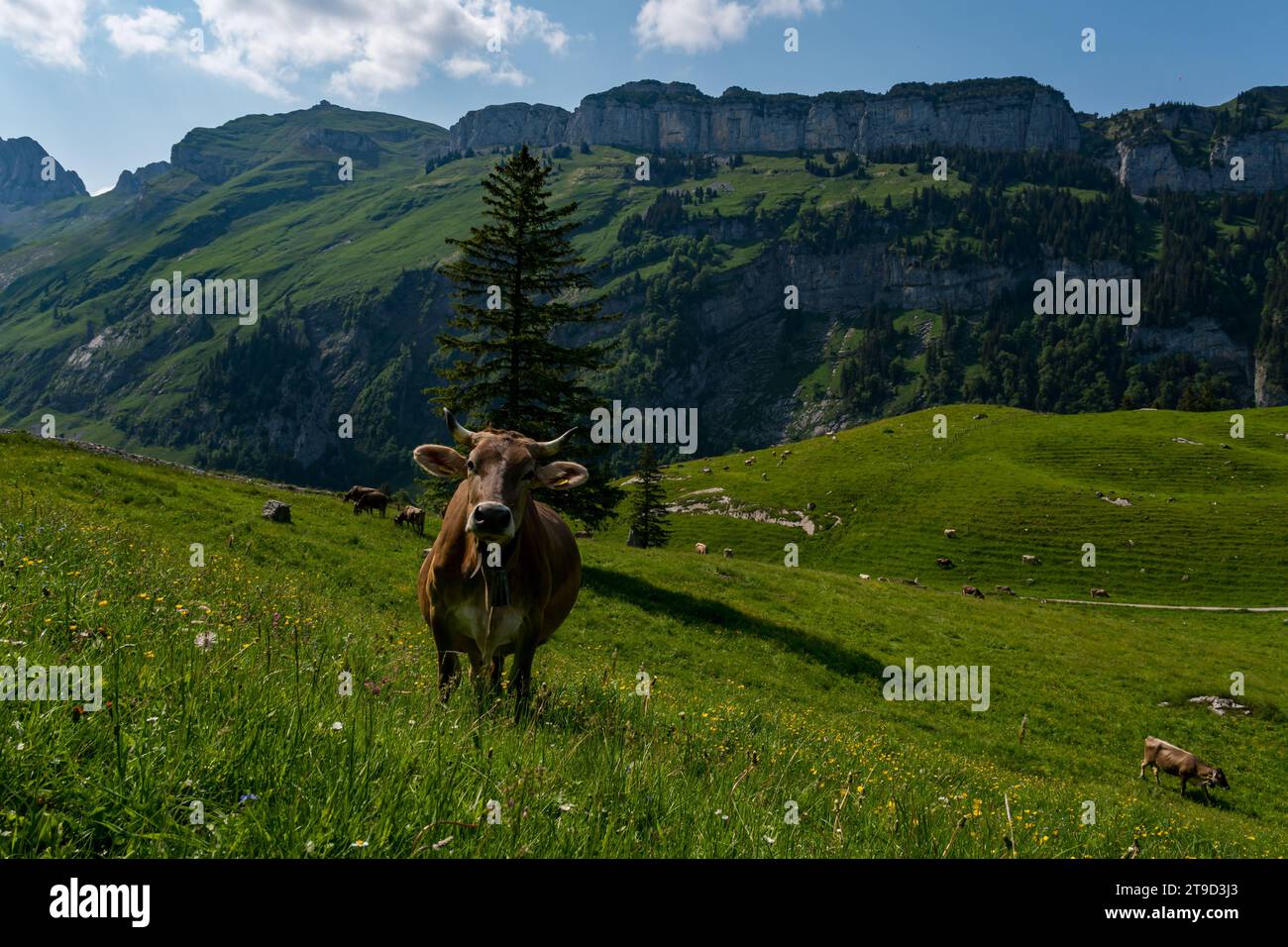 Wonderful hike in the Alpstein mountains from Wasserauen to Meglisalp ...