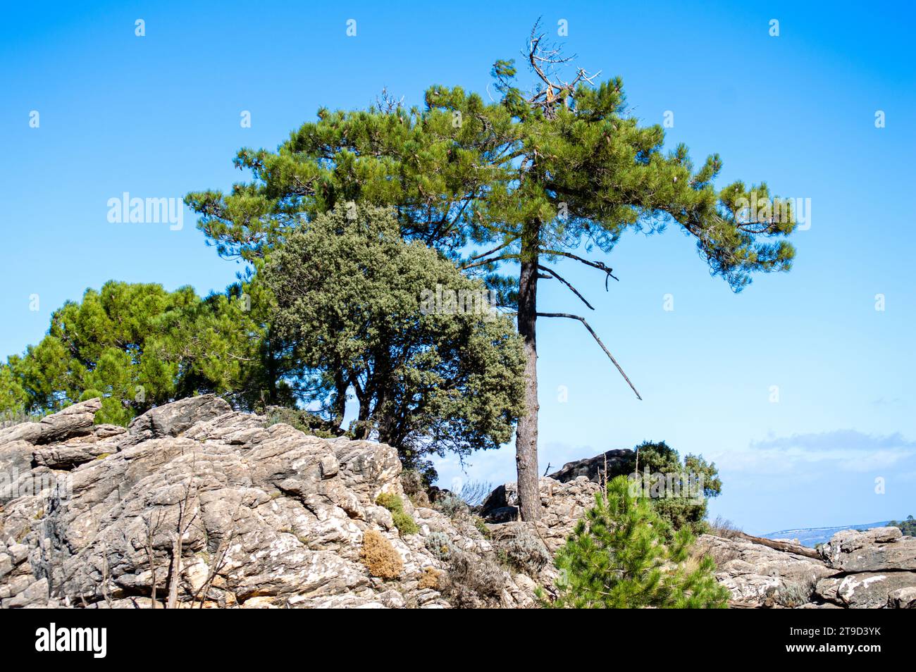 Hiking trail to Lucero peak, Natural Mountains park of Tejeda, Almijara ...