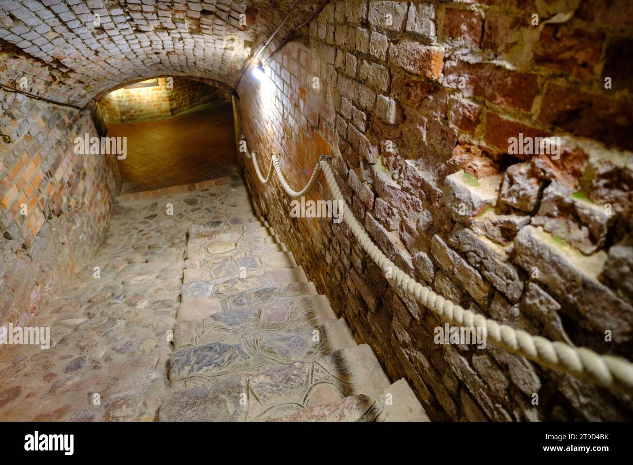 Old brick cellar with large vault ceiling and muddy floor Stock Photo ...