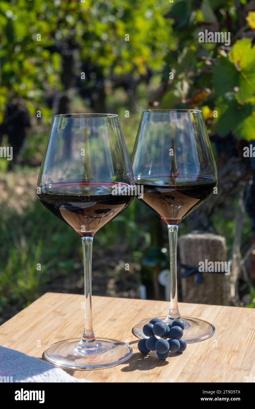 Tasting of red Bordeaux wine, Merlot or Cabernet Sauvignon red wine ...