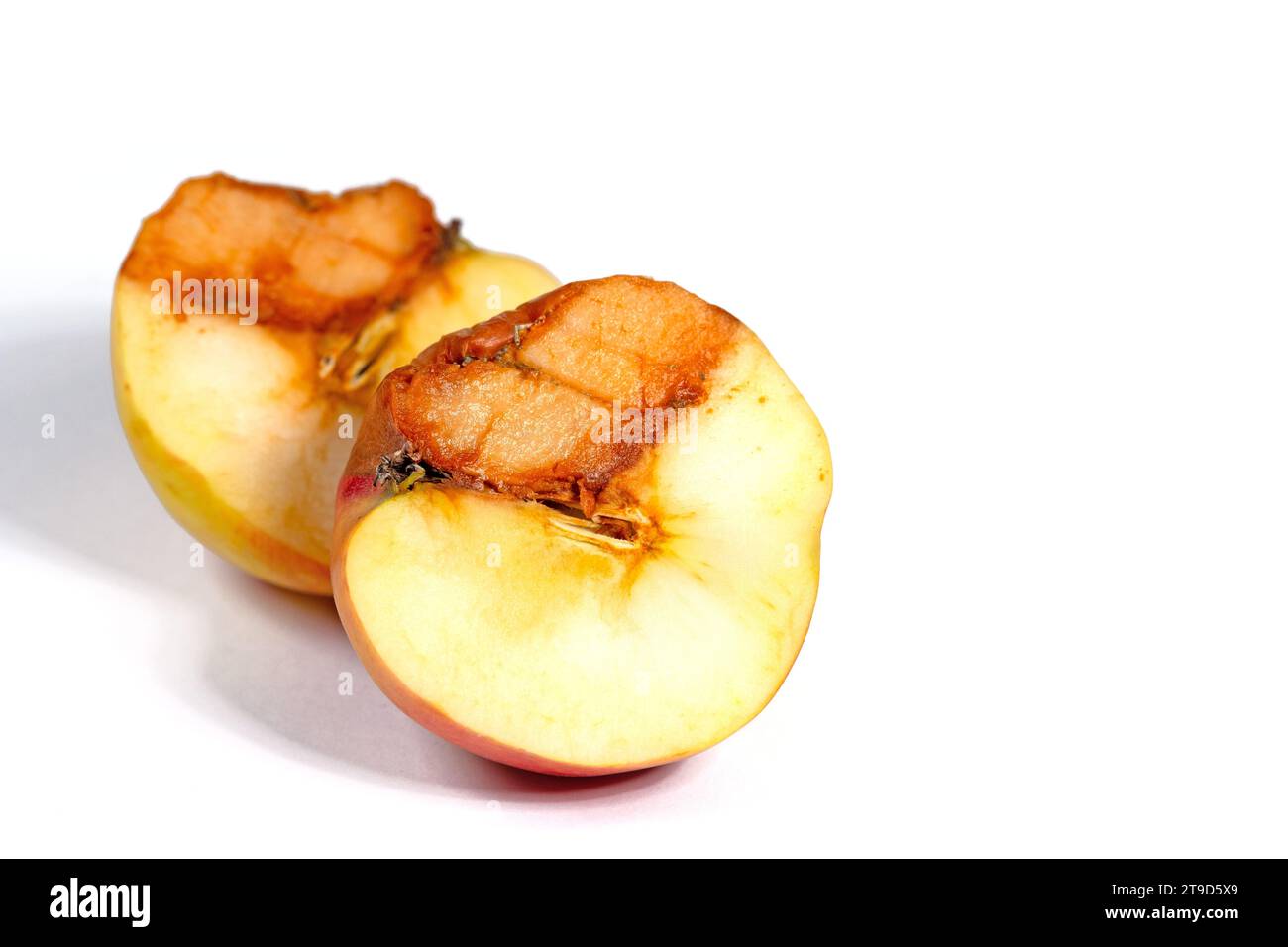 Rotting apple against white background Stock Photo - Alamy