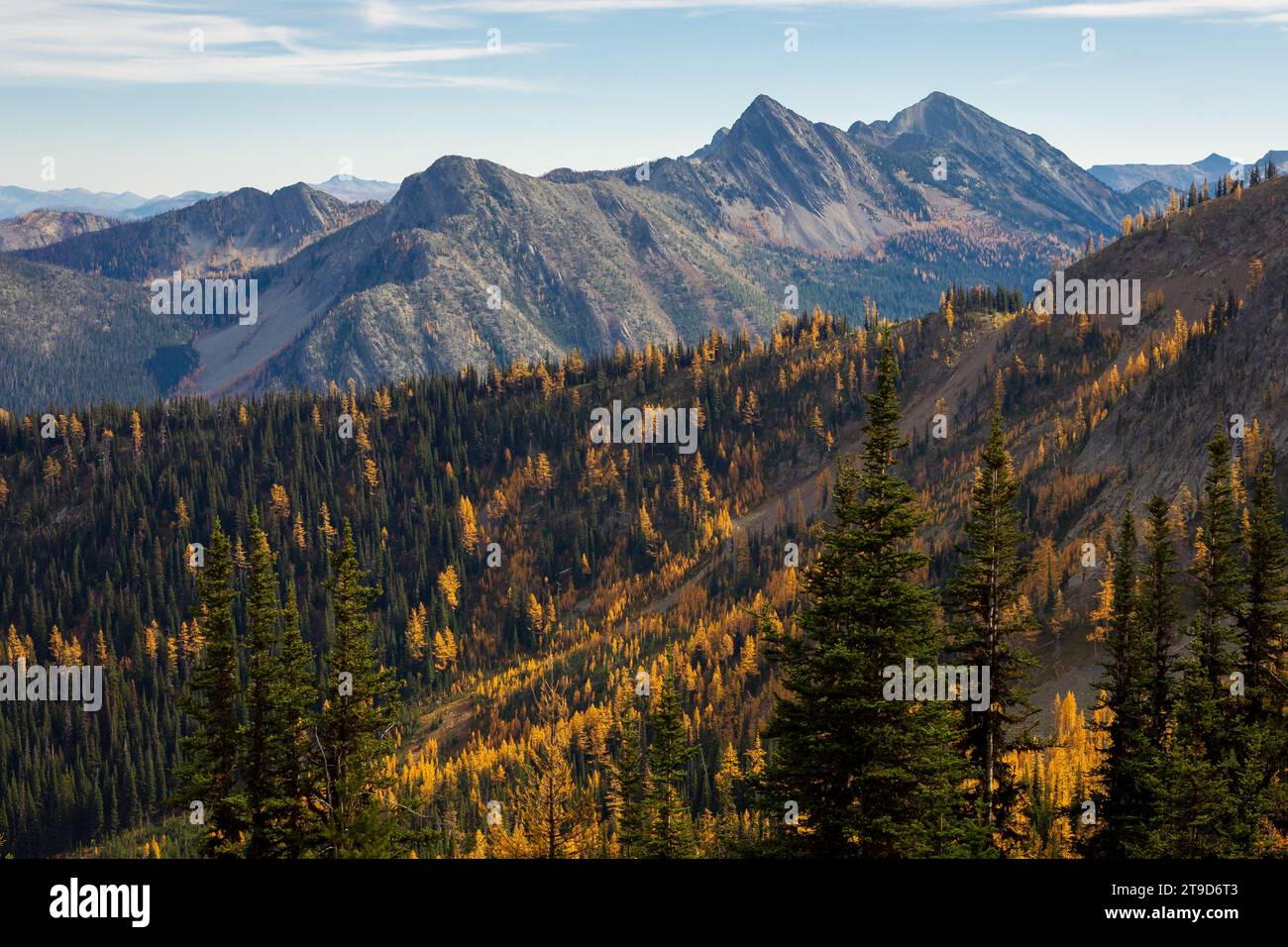 Sub alpine region hi-res stock photography and images - Alamy