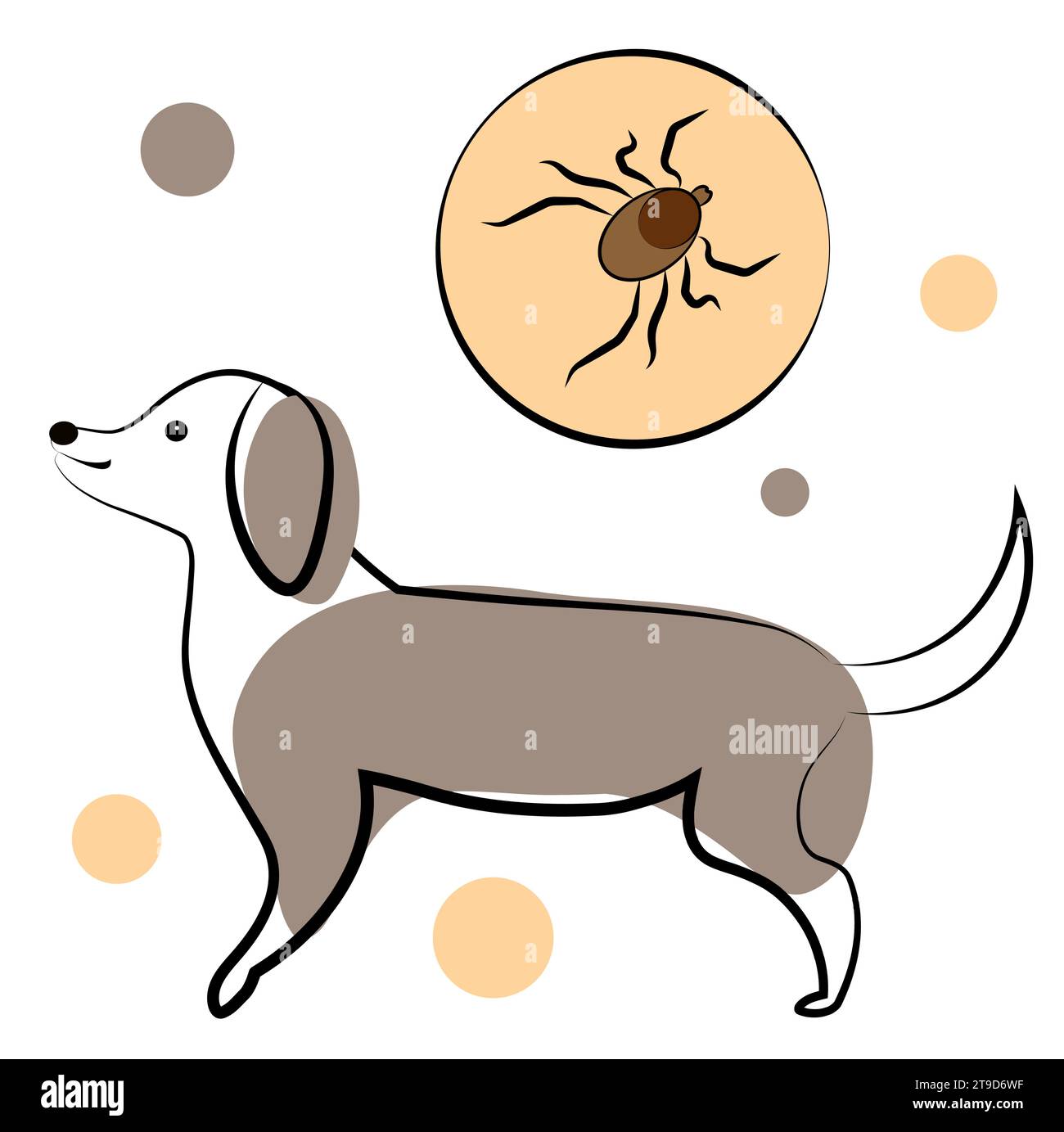 An encephalitic tick has bitten a dog. Vector illustration isolated on ...