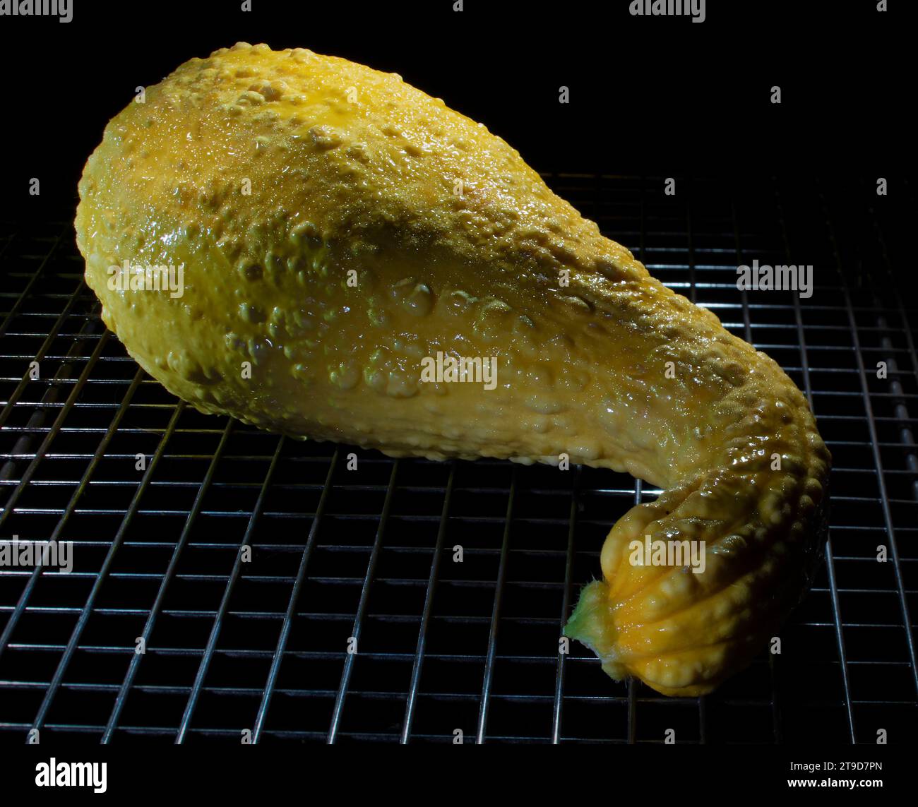 Wet yellow squash on a metal grate with dark background Stock Photo - Alamy