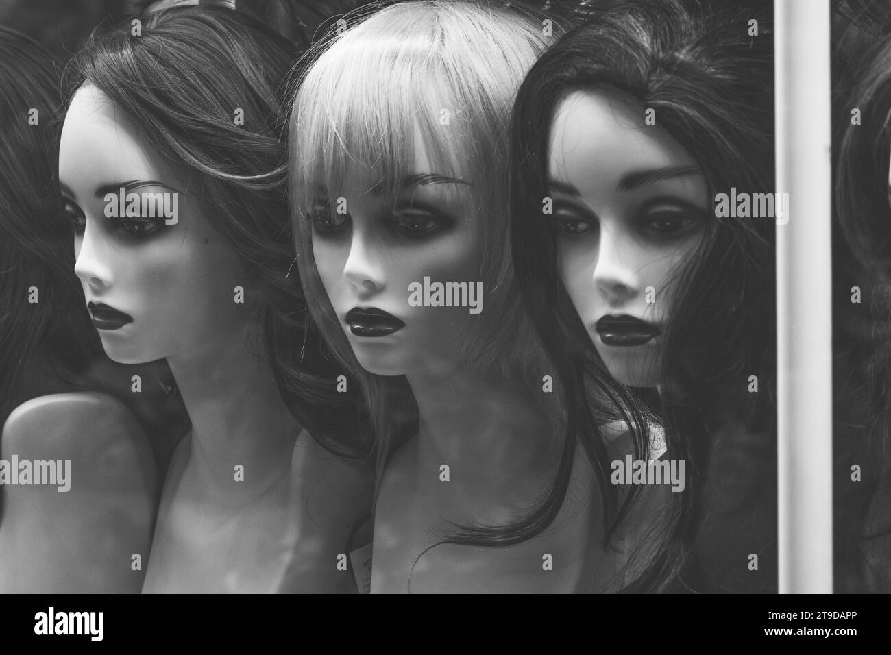 display dummies, mannequins for wigs, hair salon, Mexico, 2022 Stock ...