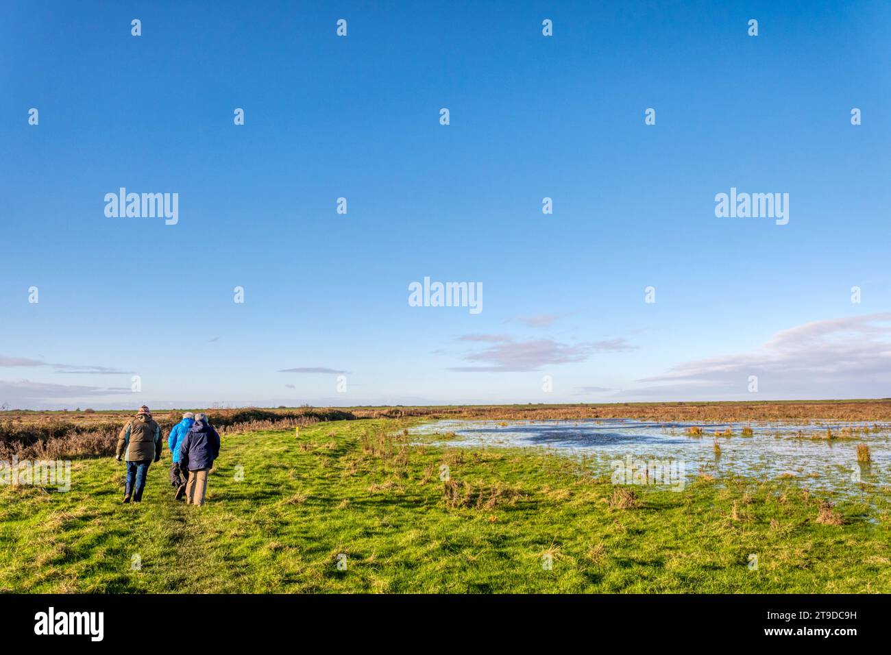 People following the Snettisham Circular Walk across the freshwater ...