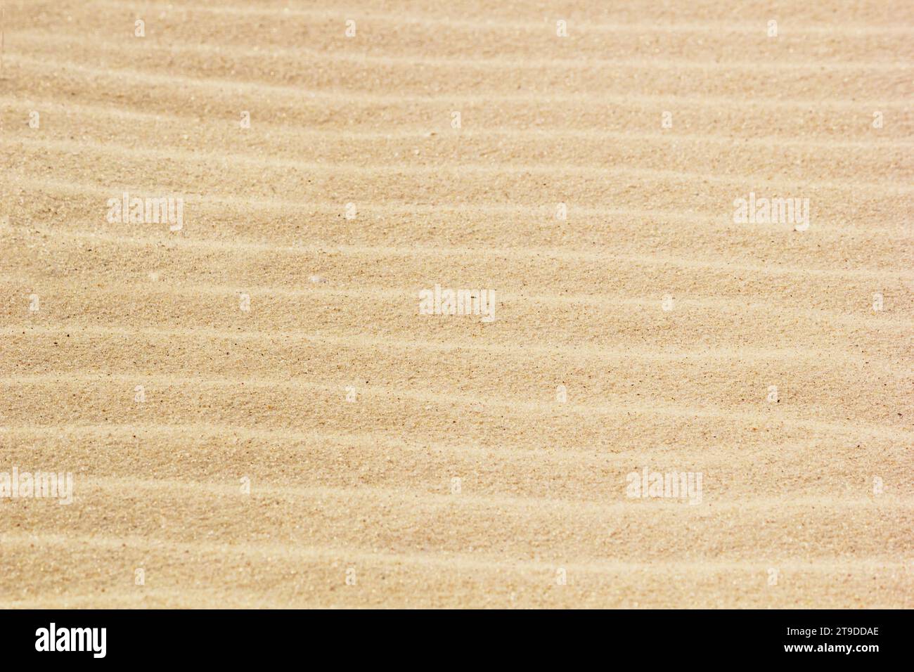 Rippled sand on the sea coast formed by wind and water, background ...