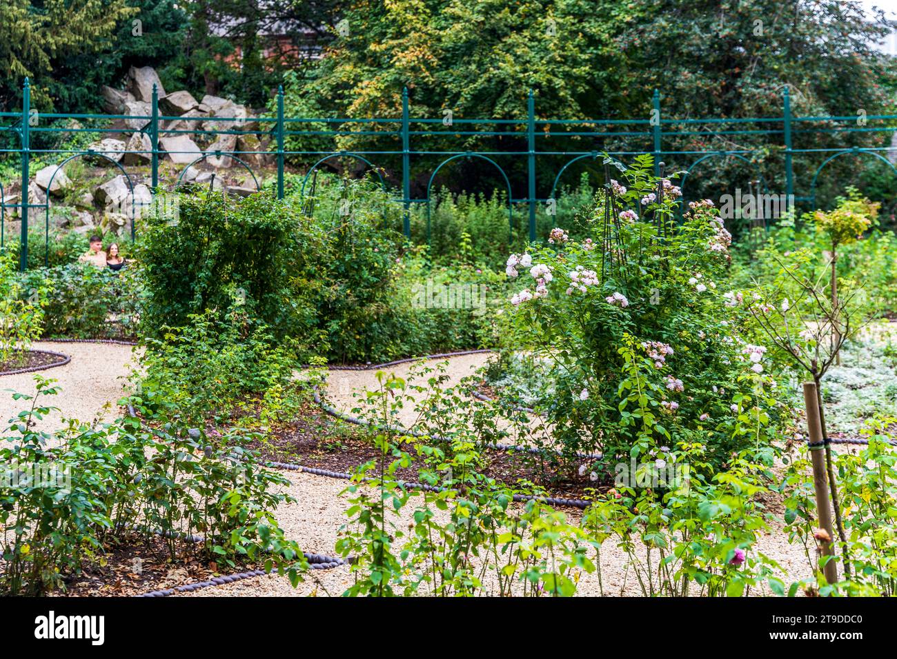 The Iveagh Gardens designed in mid-19th century by Ninian Niven, Dublin ...