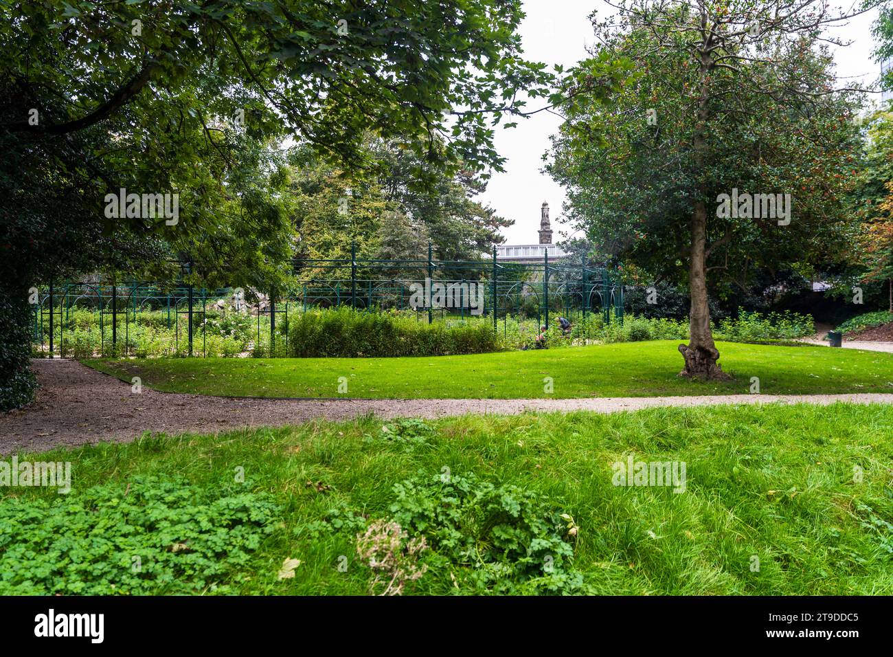 The Iveagh Gardens designed in mid-19th century by Ninian Niven, Dublin ...