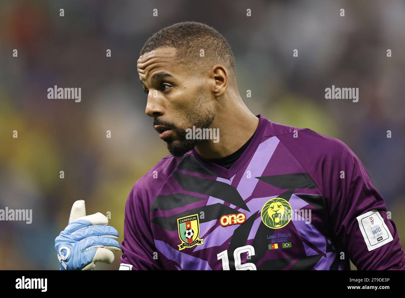 LUSAIL CITY - Cameroon goalkeeper Devis Epassy during the FIFA World ...