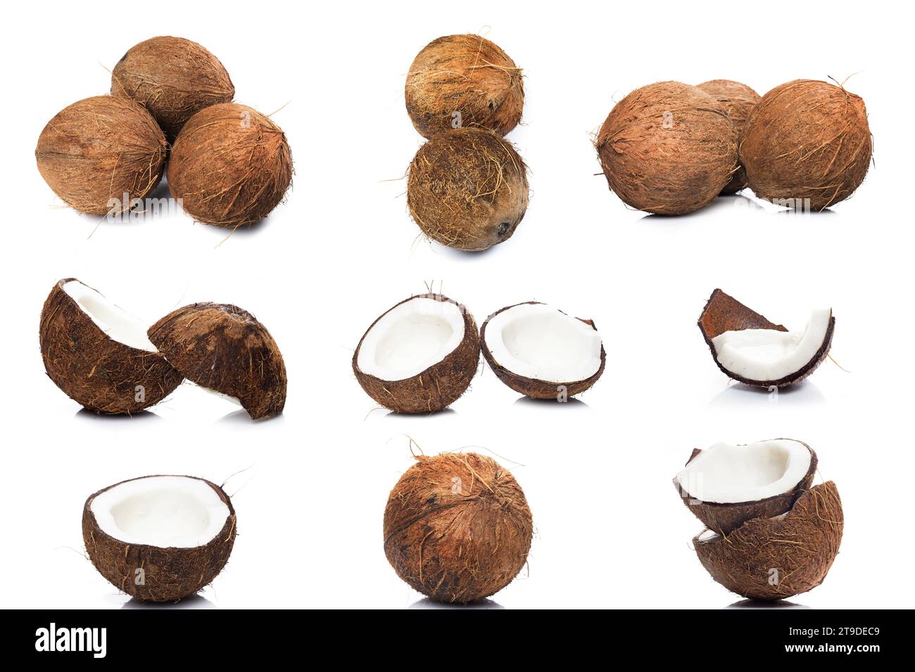 Collection of different coconuts isolated on white background Stock ...