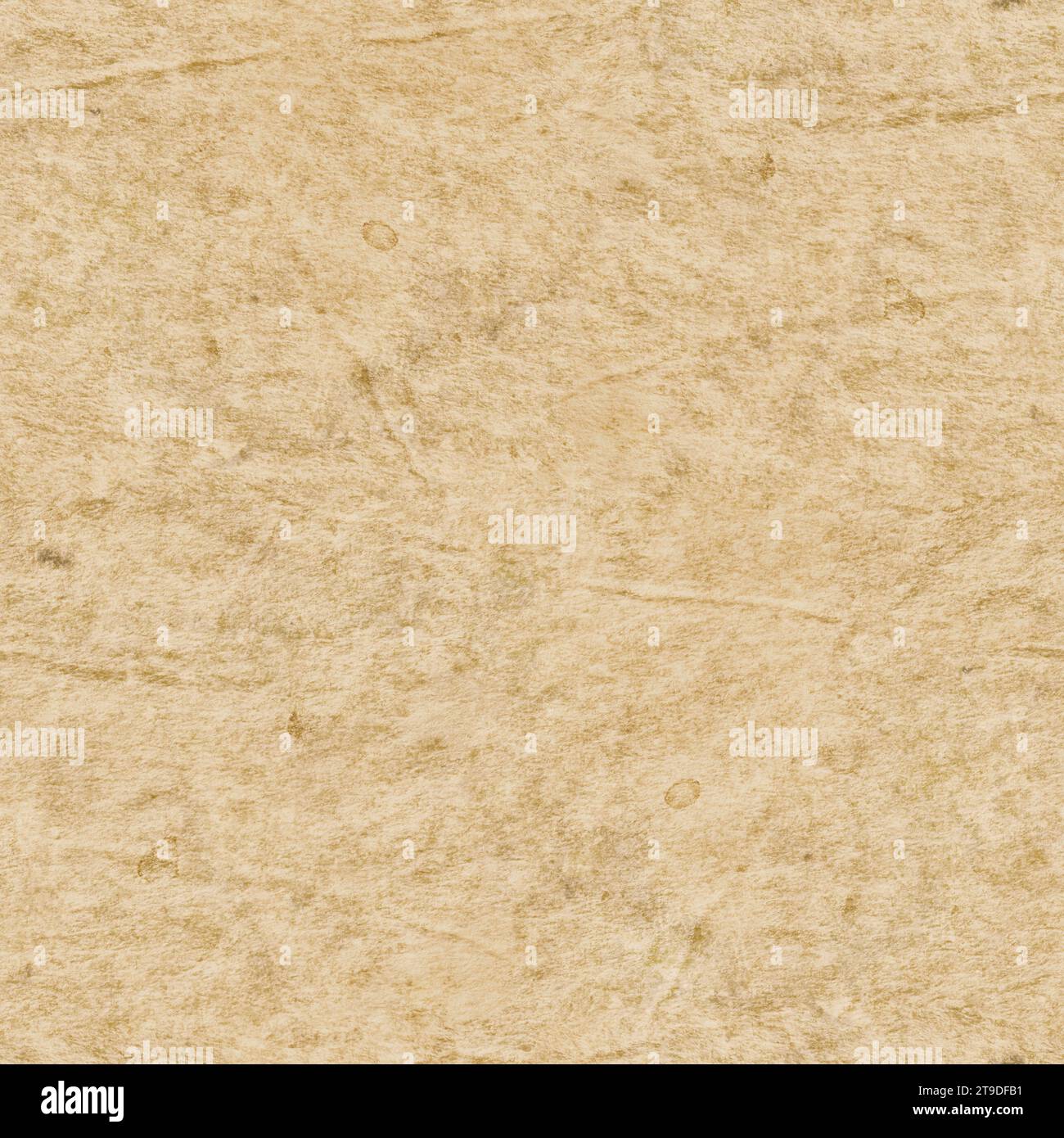 Seamless Paper Texture Cardboard Background Stock Photo Cardboard