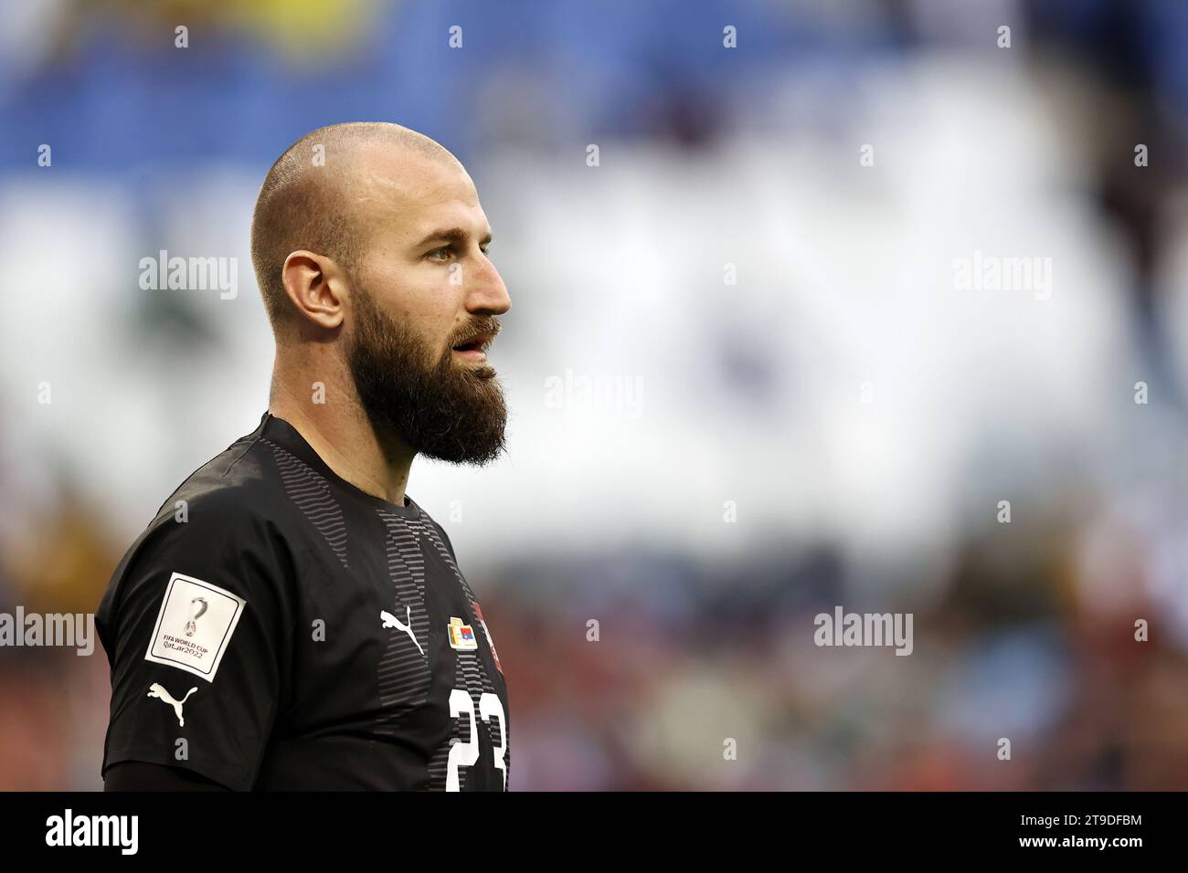AL WAKRAH - Serbia goalkeeper Vanja Milinkovic-Savic during the FIFA ...