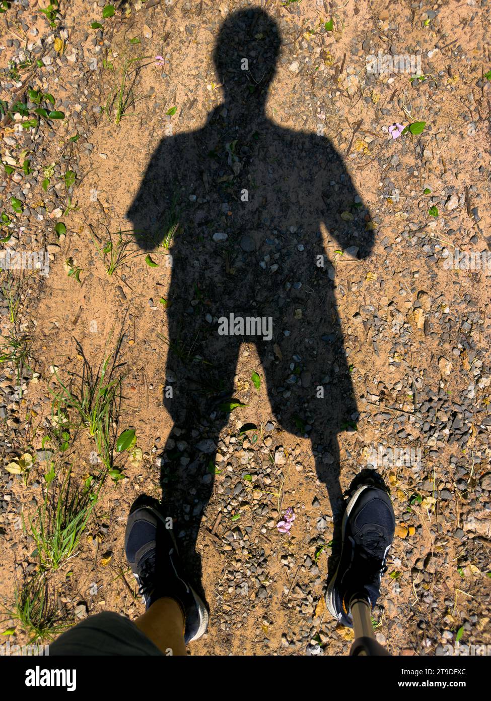 Shadow of a disabled person Stock Photo - Alamy