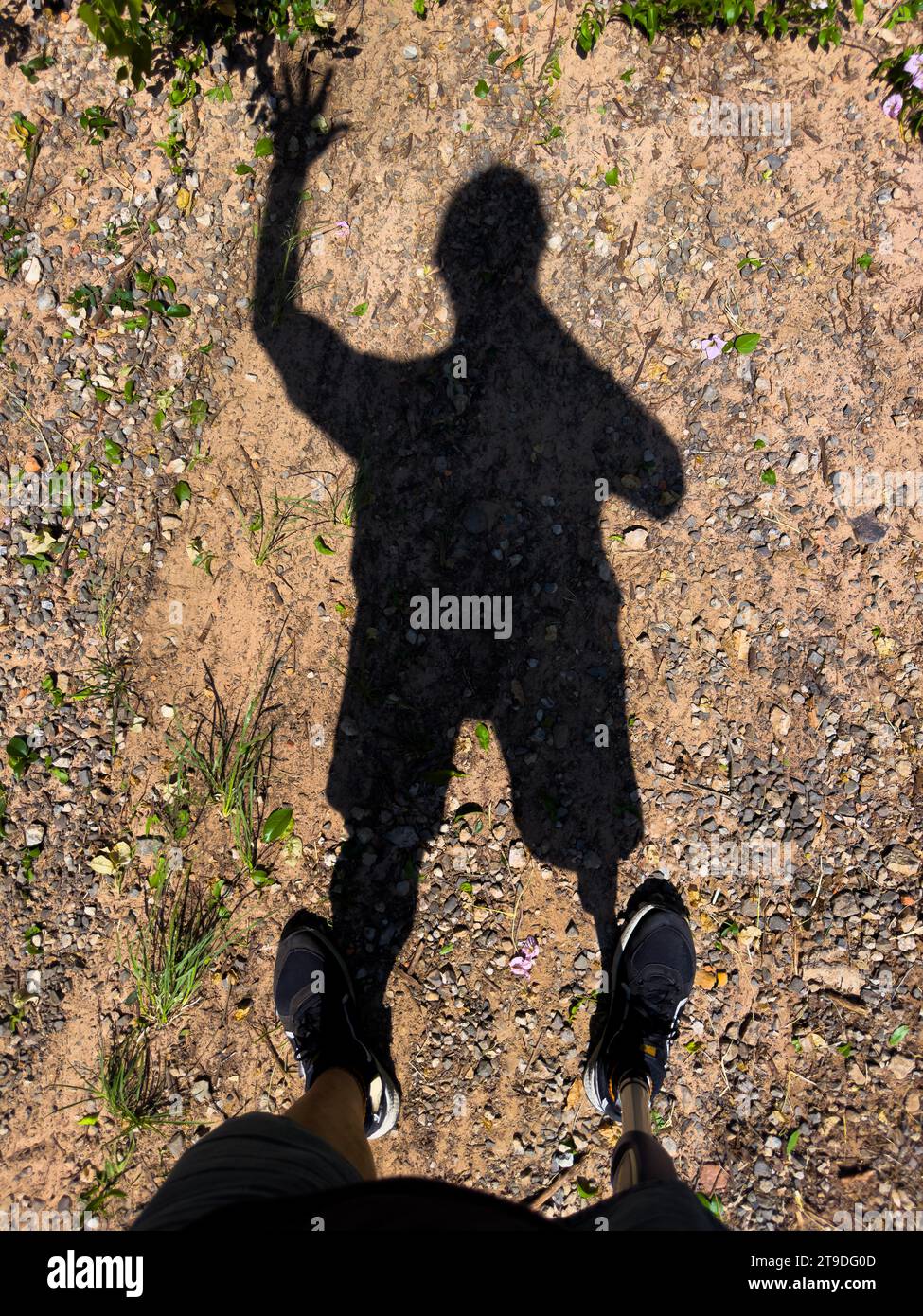 Shadow of a disabled person Stock Photo - Alamy
