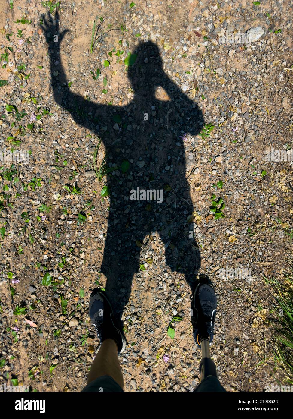 Shadow of a disabled person Stock Photo - Alamy