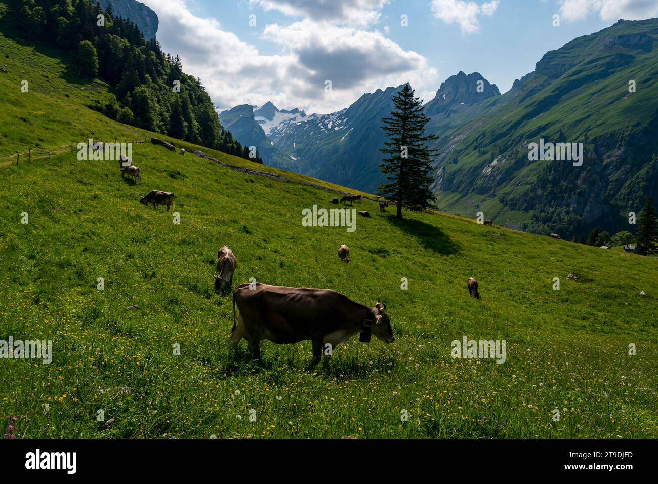 Wonderful hike in the Alpstein mountains from Wasserauen to Meglisalp ...