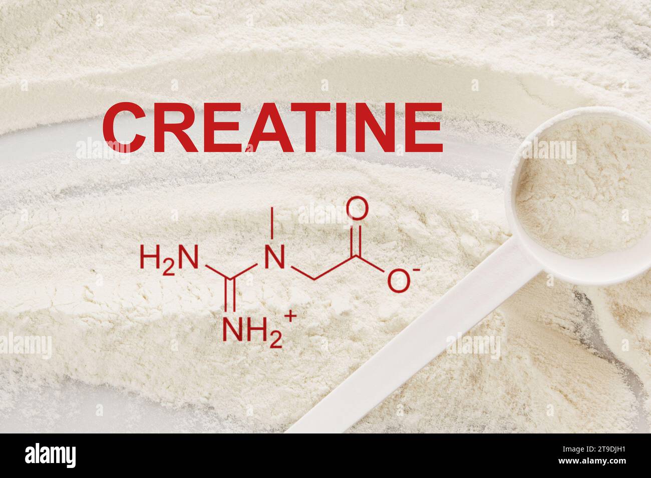 Closeup of scoop with creatine monohydrate supplement and chemical ...