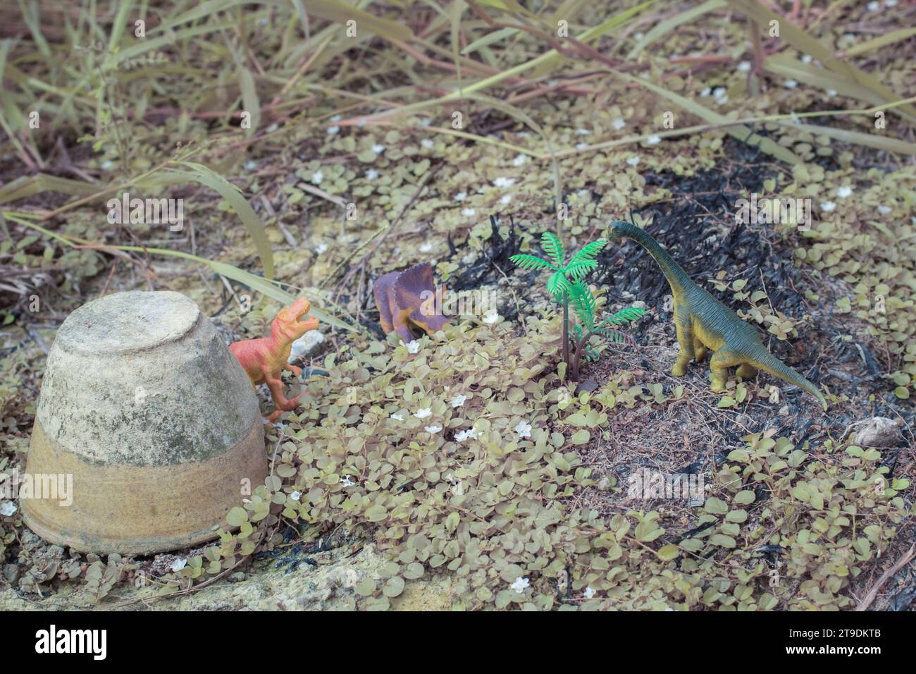 infrared image of the dinosaur toys the bushy grassland Stock Photo - Alamy