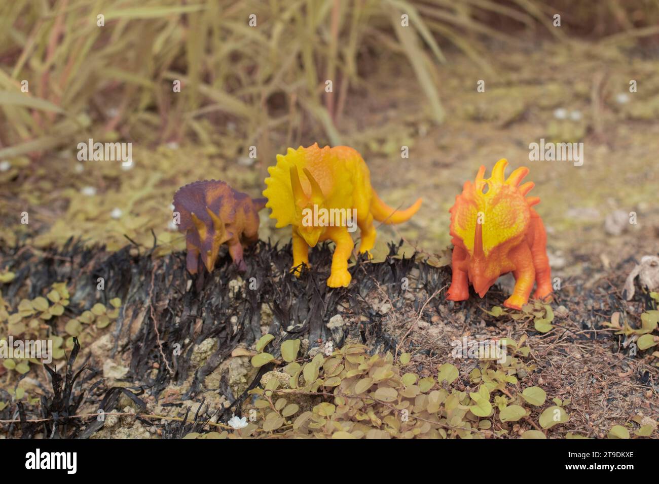 infrared image of the dinosaur toys the bushy grassland Stock Photo - Alamy