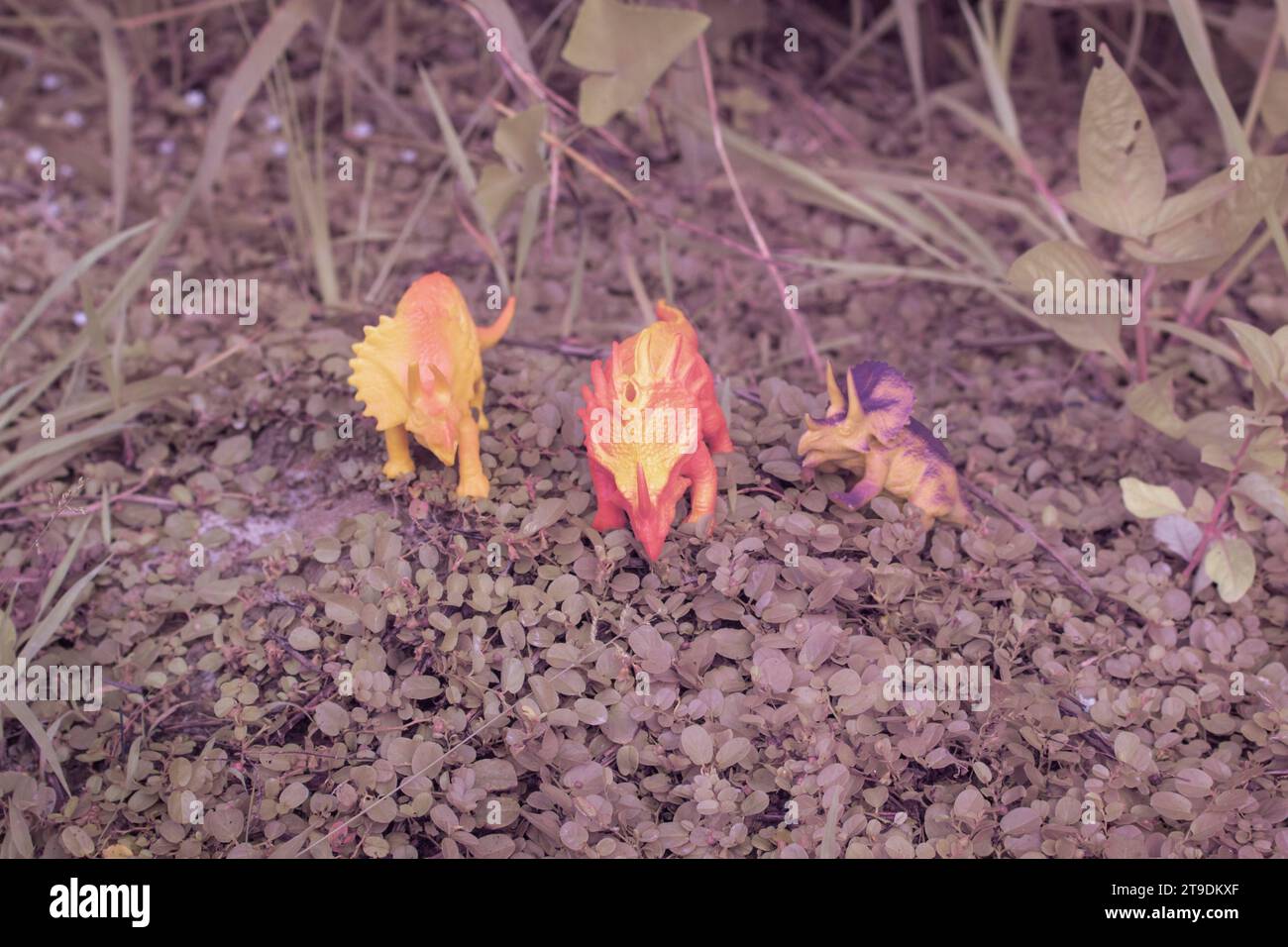 infrared image of the dinosaur toys the bushy grassland Stock Photo - Alamy
