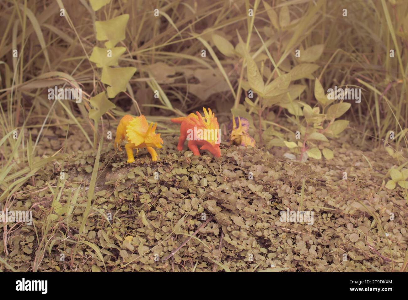 infrared image of the dinosaur toys the bushy grassland Stock Photo - Alamy