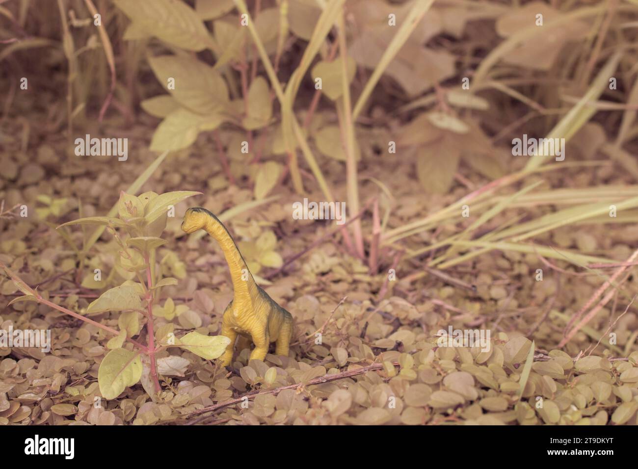 infrared image of the dinosaur toys the bushy grassland Stock Photo - Alamy