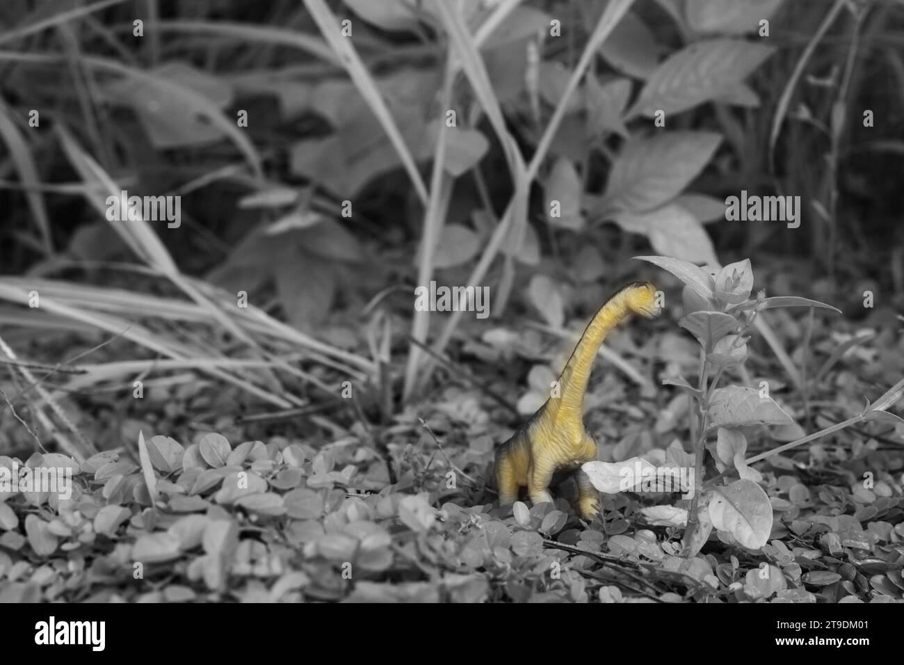 infrared image of the dinosaur toys the bushy grassland Stock Photo - Alamy