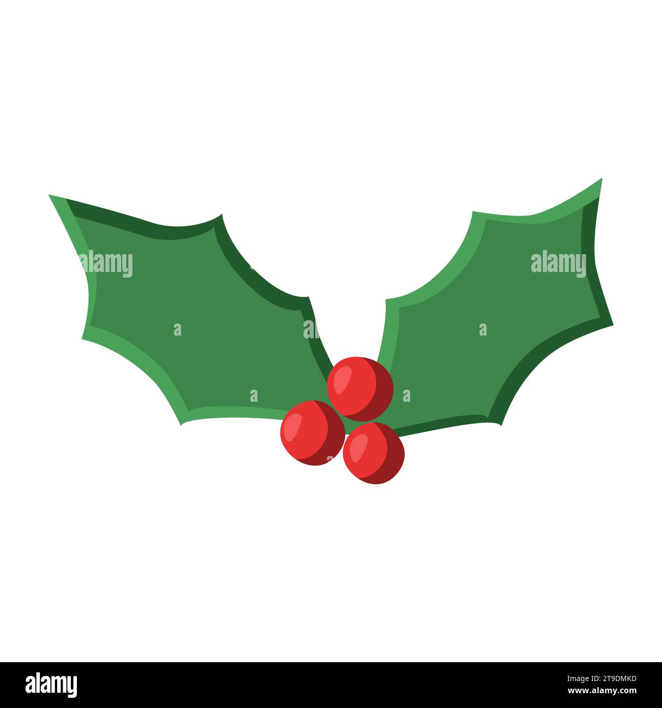 Two holly leaves with berries, winter holidays design element, vector ...