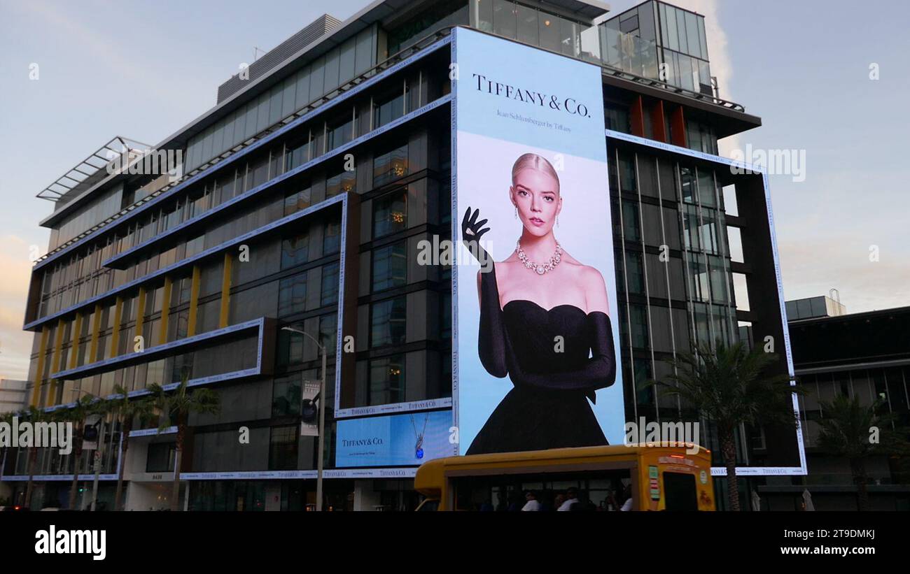 Los Angeles, California, USA 22nd November 2023 Tiffany & Co Anya ...