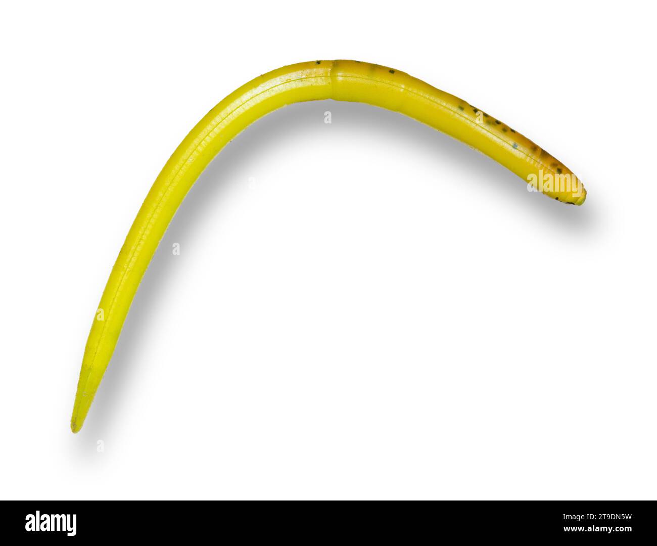 ARtificial worm for freshwater fishing that is yellow with a shadow ...