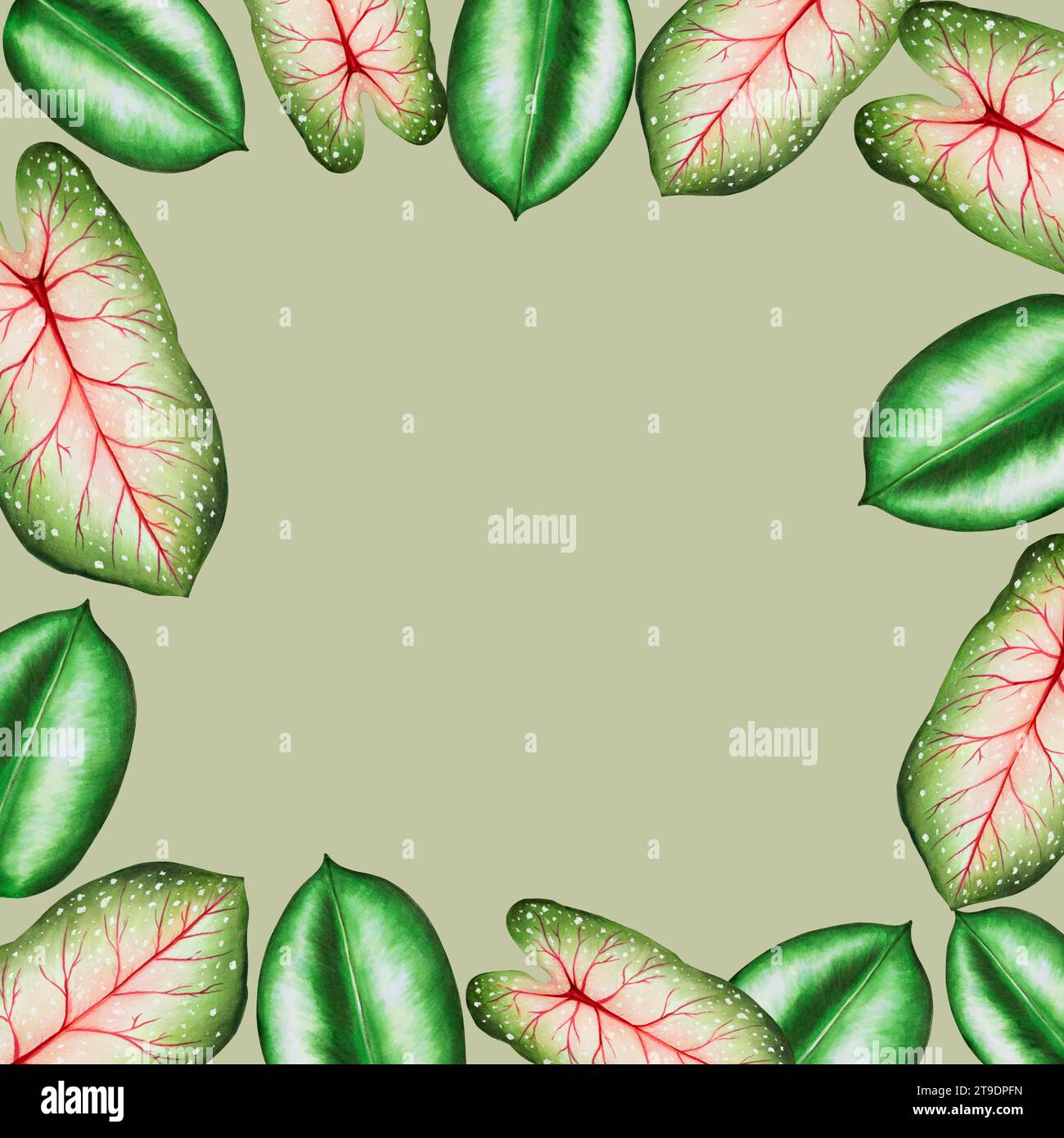 Watercolor frame with realistic tropical leafs. Illustration of ...