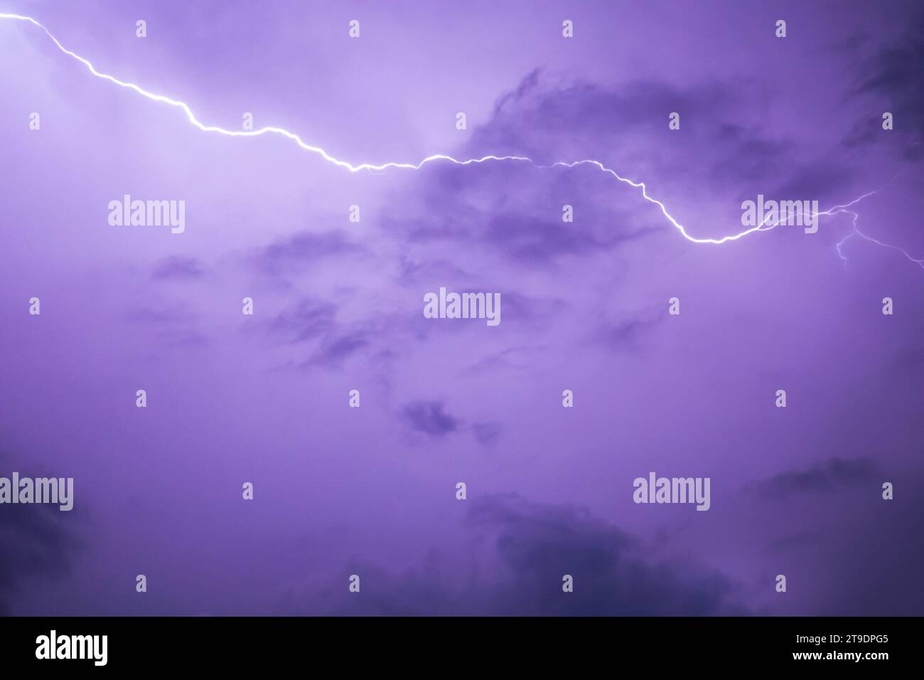Background of Lightning stroke in purple night sky Stock Photo - Alamy
